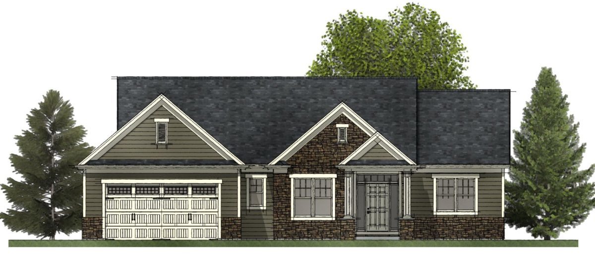 DS-2550 | Carini Engineering Designs